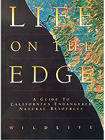 One Great Game: Two Teams, Two Dreams, in the First Ever National ...