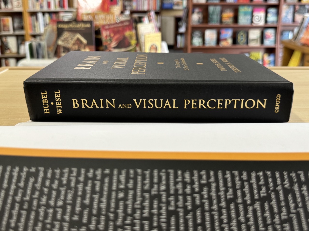 Brain and Visual Perception: The Story of a 25-Year Collaboration
